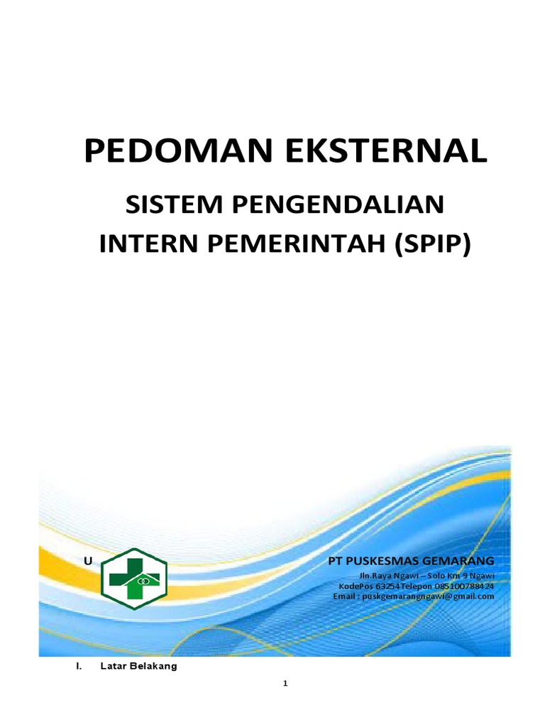 Pedoman Audit Eksternal | PDF