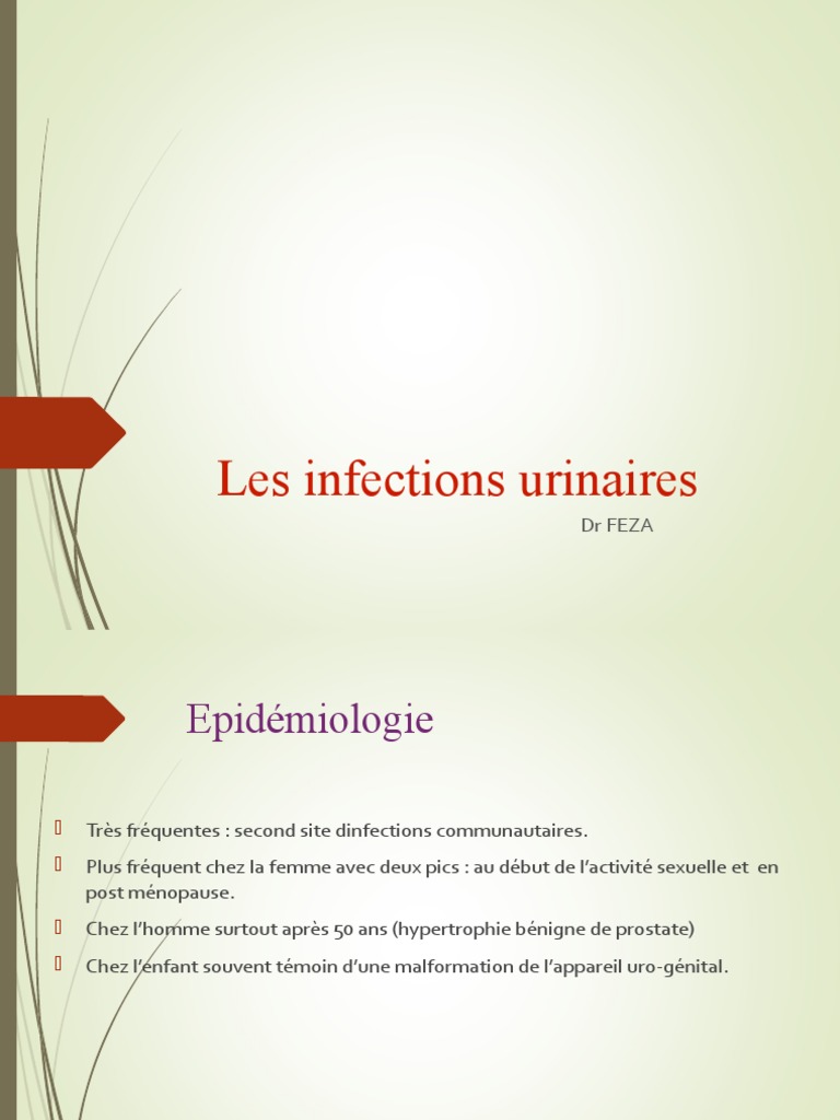 Inf Urinaires | PDF | Sciences et mathématiques