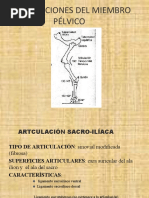 Anatomía del húmero en perros | PDF | Codo | Sistema esquelético