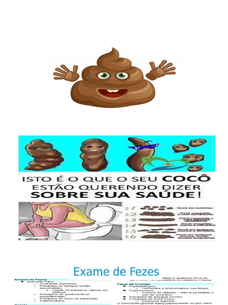 Principais tipos de exames de fezes: objetivos, procedimentos e achados ...