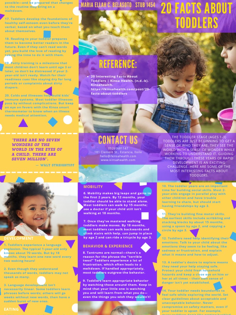 20 Facts About Toddlers - Brochure | PDF | Toddler | Psychology