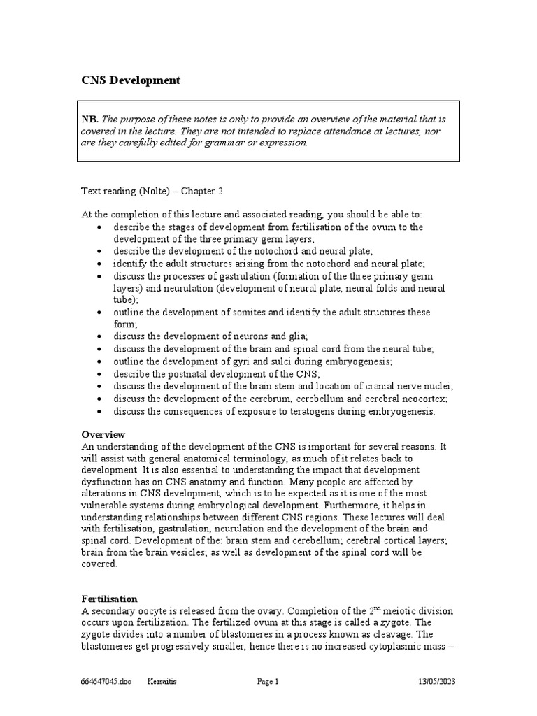 02 - CNS Development | Download Free PDF | Cerebellum | Cerebral Cortex