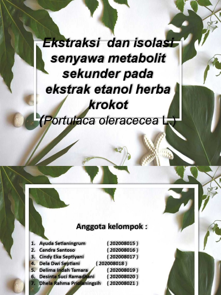 KCV Krokot | PDF