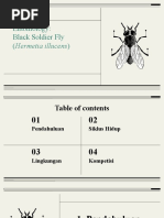 Classification Lalat BSF | PDF
