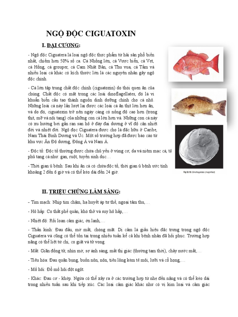 Ciguatoxin | PDF