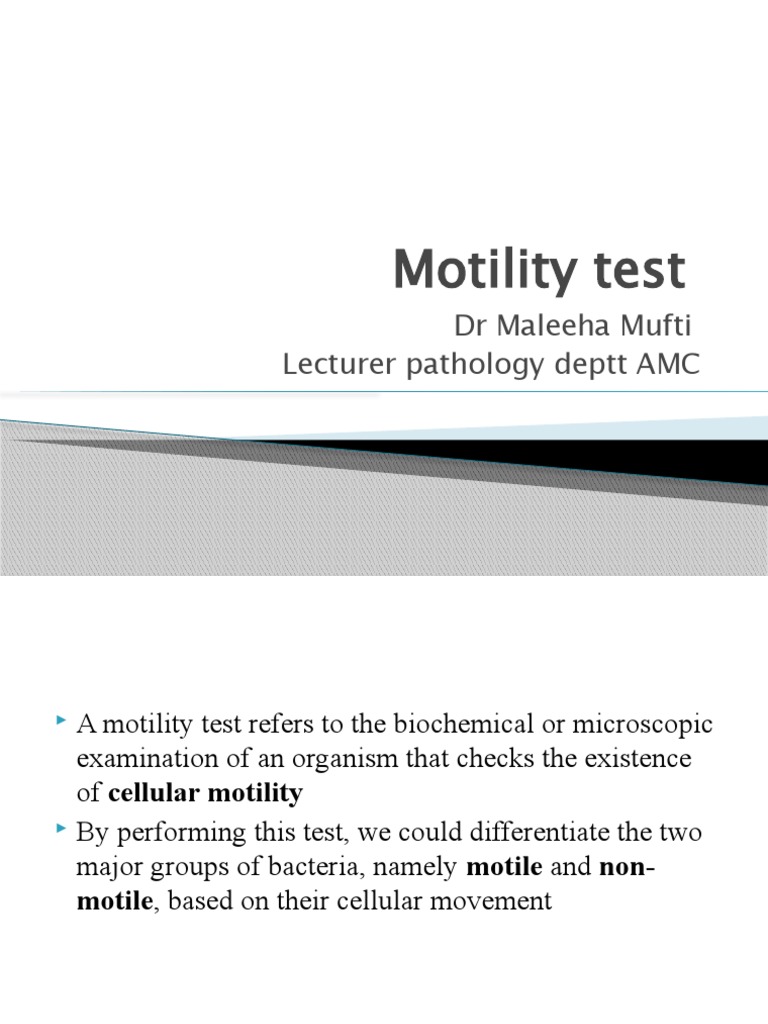 Motility Test | PDF | Bacteria | Prokaryote