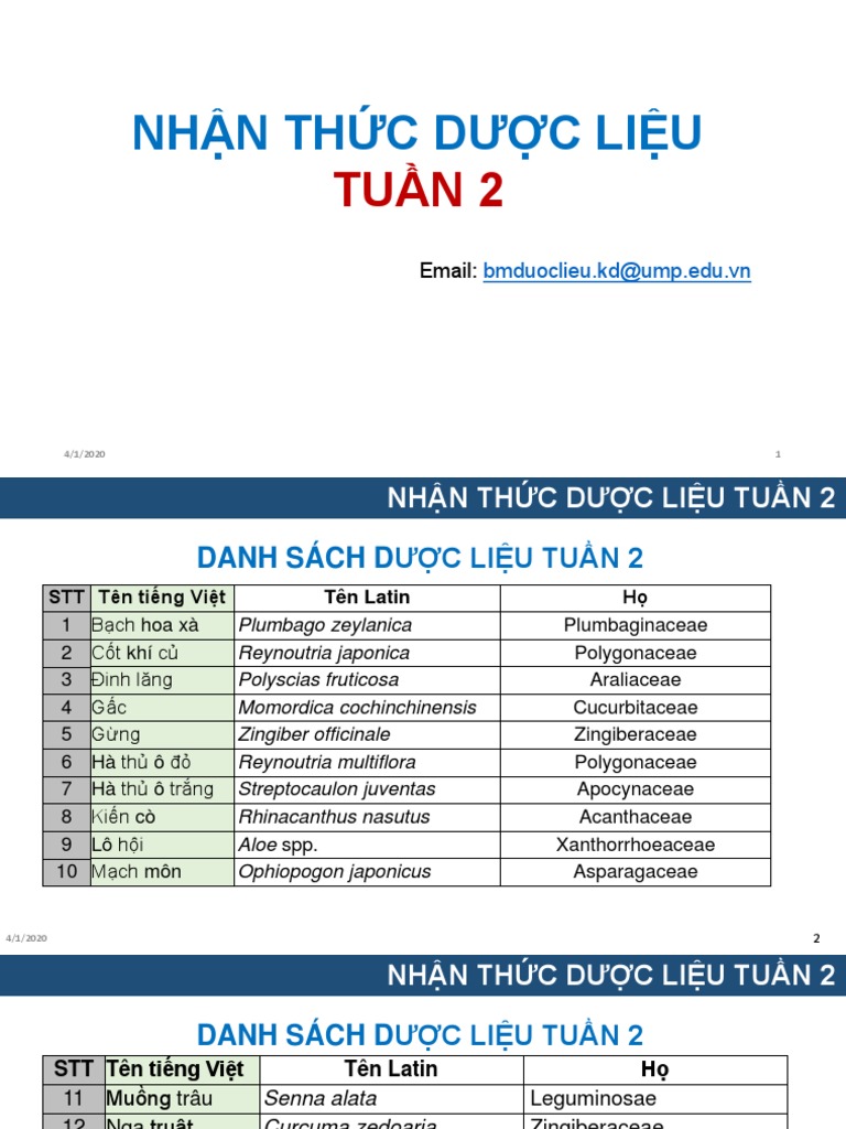 NTDL Buổi 2 PDF | PDF