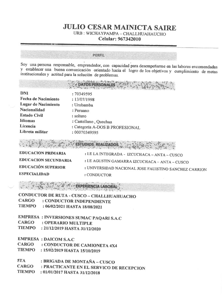 CV Julio Cesar Mainicta Saire PDF | PDF