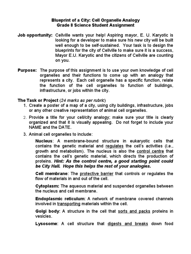Cellville: A Cell Organelle City Analogy | PDF | Eukaryotes | Cell ...