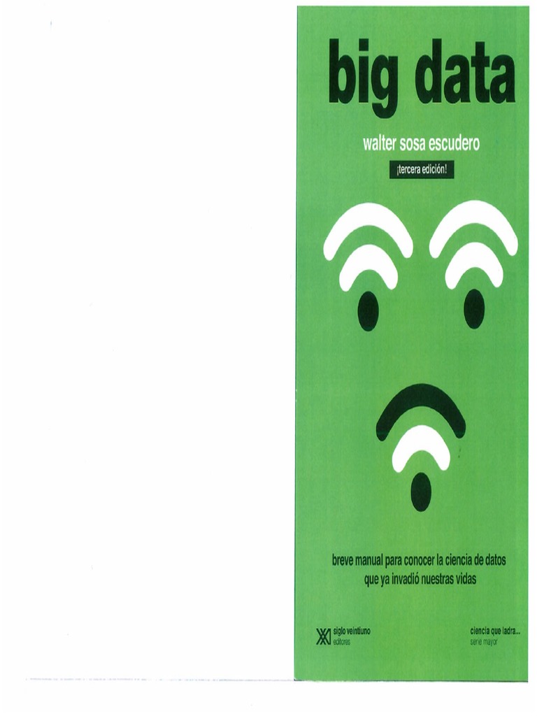Sosa Escudero Walter - Big Data - Libro Completo | PDF