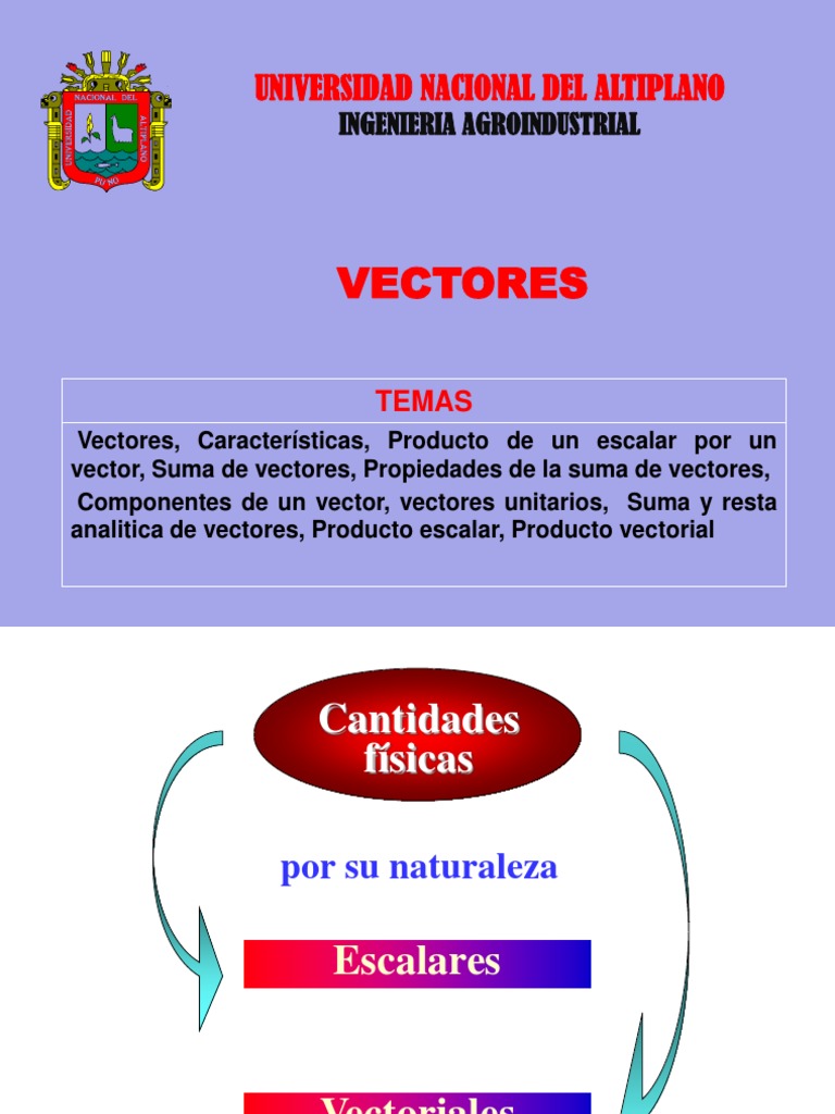 04 Vectores PDF | PDF | Vector Euclidiano | Mecanica clasica