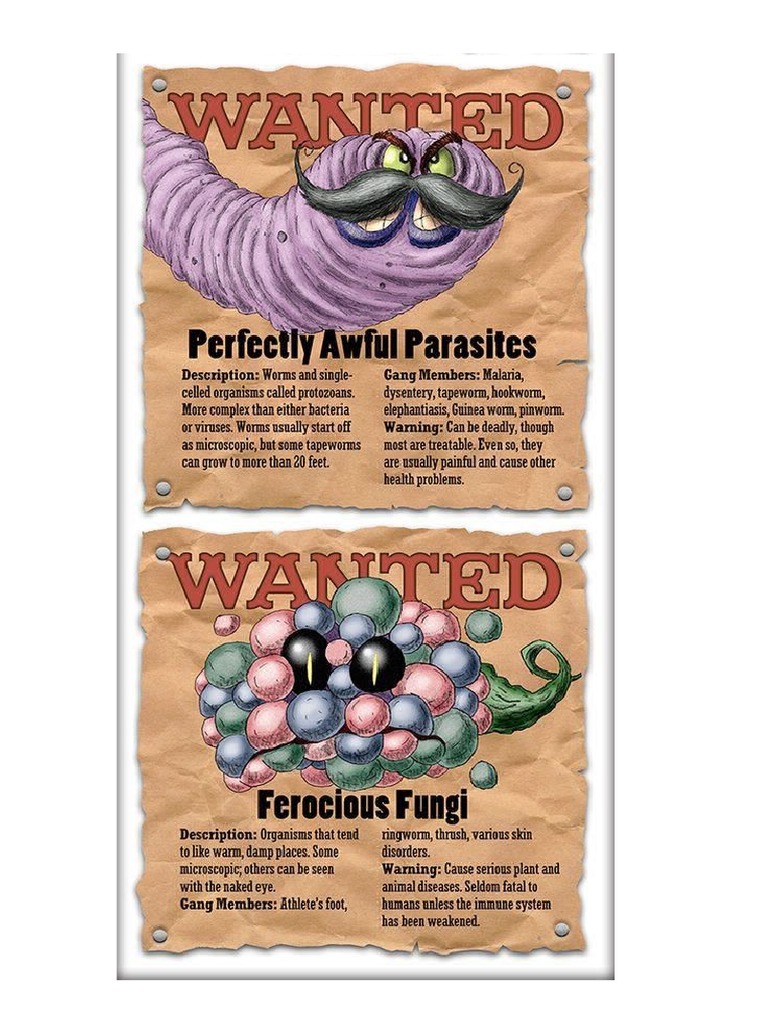 Afise | PDF