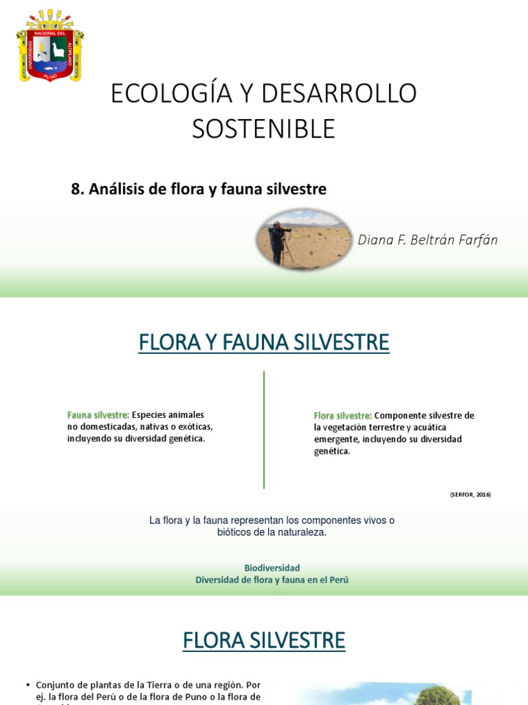 Analisis de Plantas y Animales 20222 | PDF | Fauna | Suelo