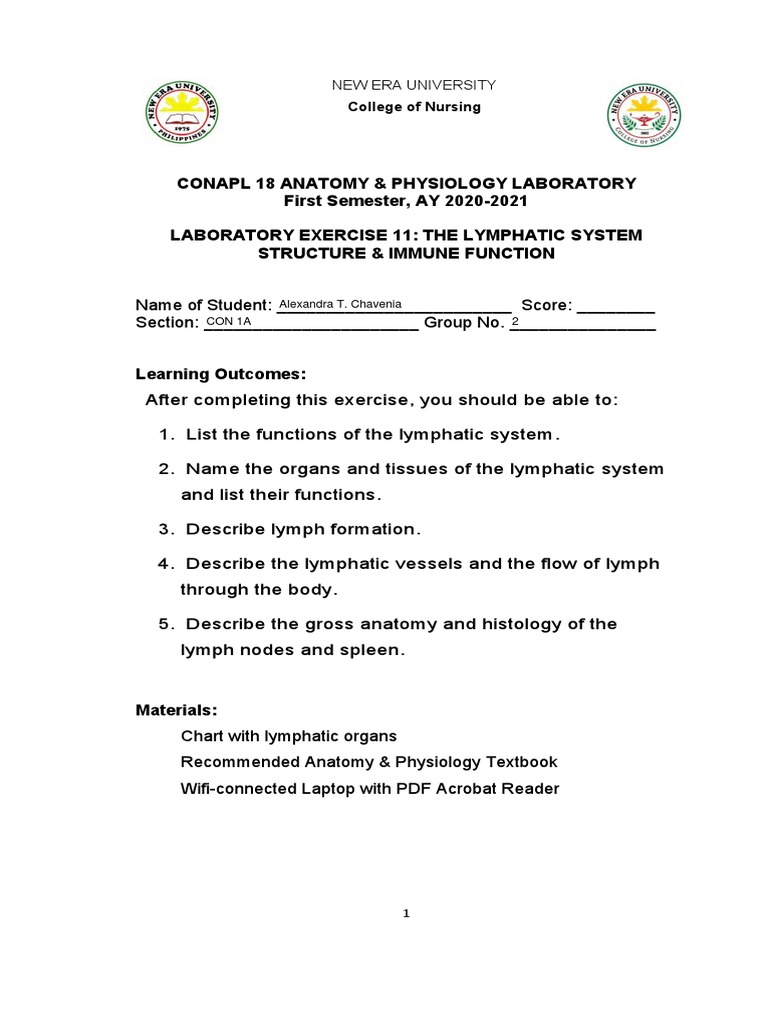 Laboratory Exercise 11 Dipasure | PDF | Lymphatic System | Lymph Node