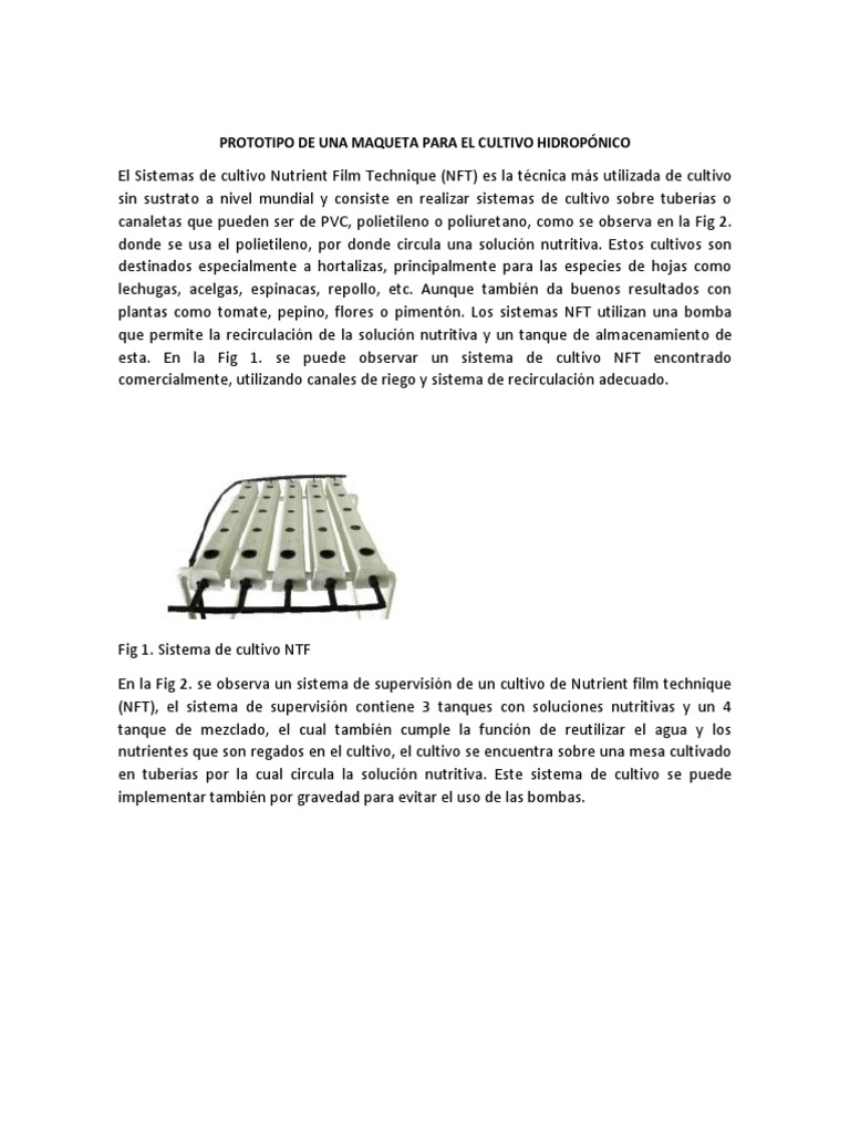 Actividad Maqueta Cultivo Hidrop Nico PDF | PDF