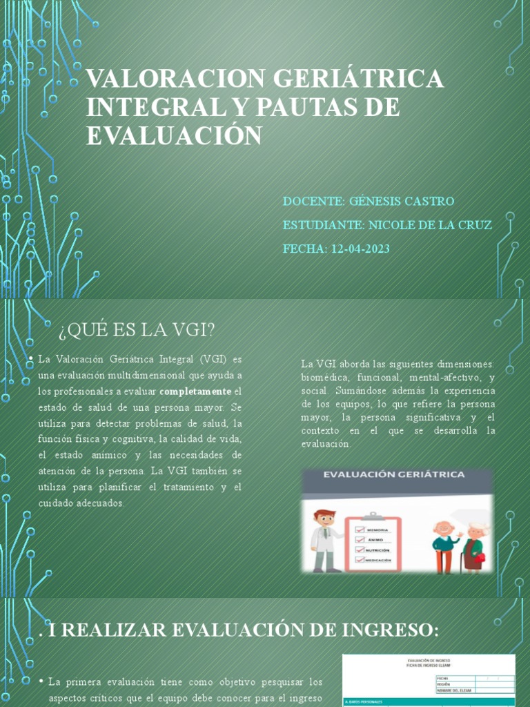Vgi y Pautas de Evaluación | PDF | Memoria | Evaluación