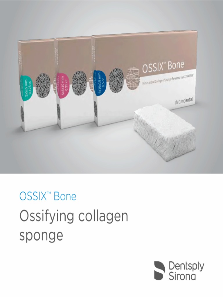 Ossix Bone Brochure | PDF