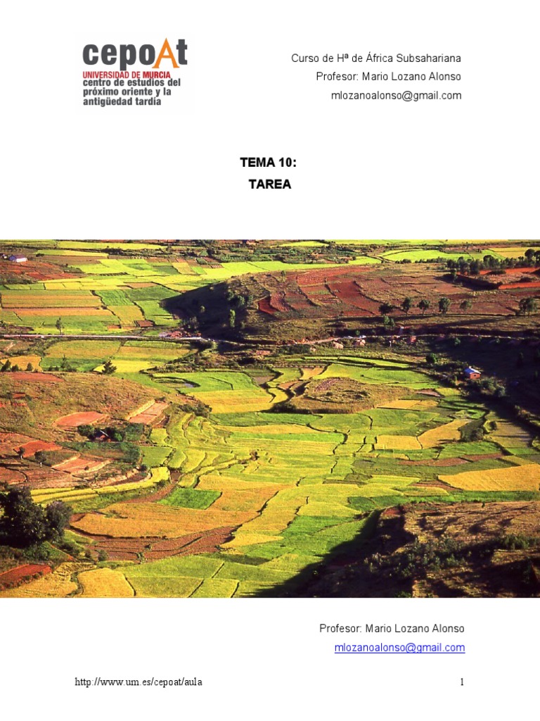 Tarea Tema 10 | PDF | Madagascar