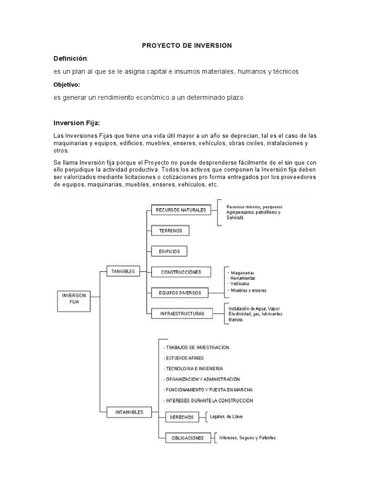 Proyecto de Inversion | PDF