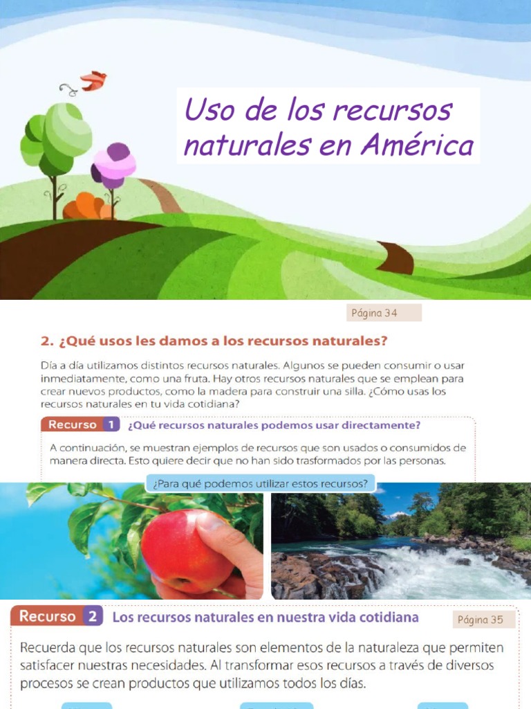 Uso de Los Recursos Naturales en América | PDF