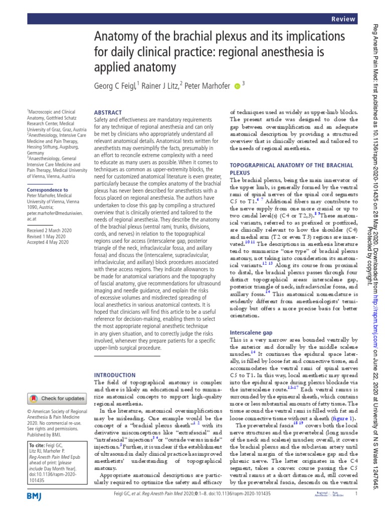 Feigl 2020 | PDF | Arm | Anatomical Terms Of Location