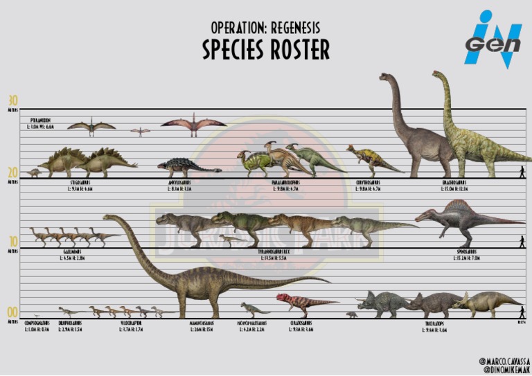 JP Franchise Size Chart PDF | PDF