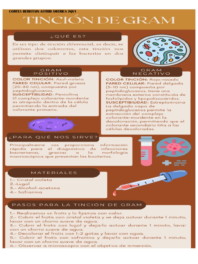 Infografía Tinción de Gram | PDF