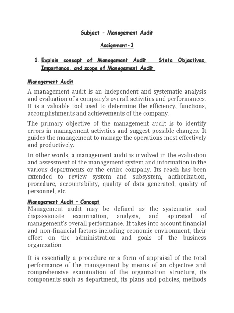 Management Audit | PDF