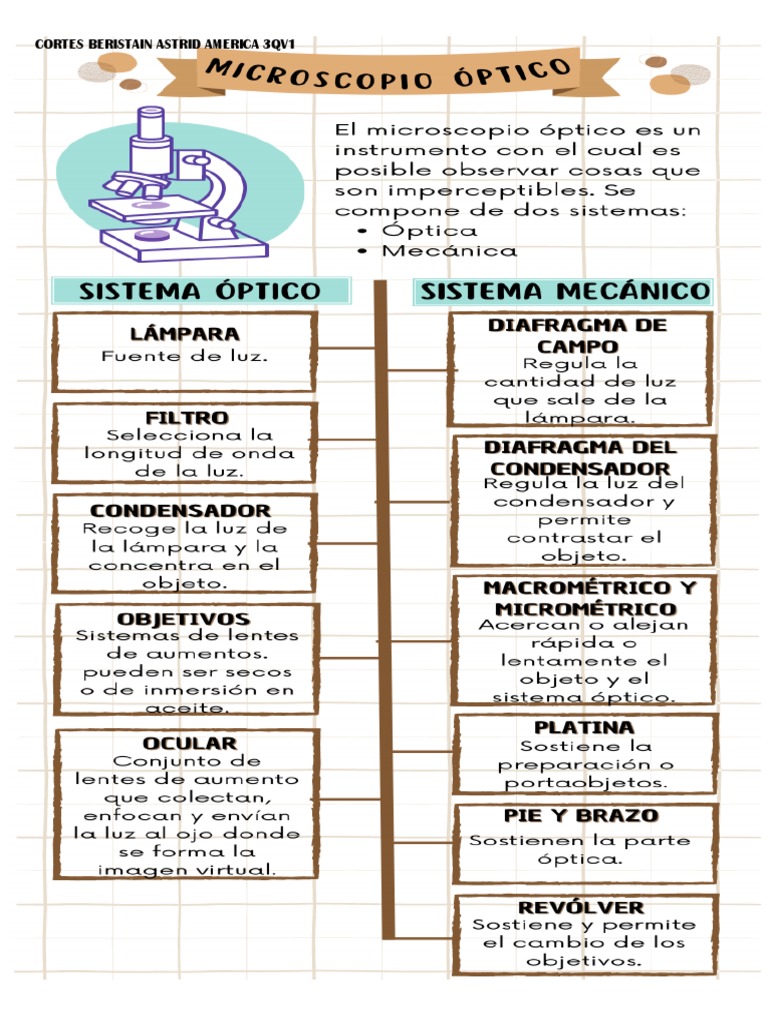INFOGRAFÍA MICROSCOPIO ÓPTICO | PDF