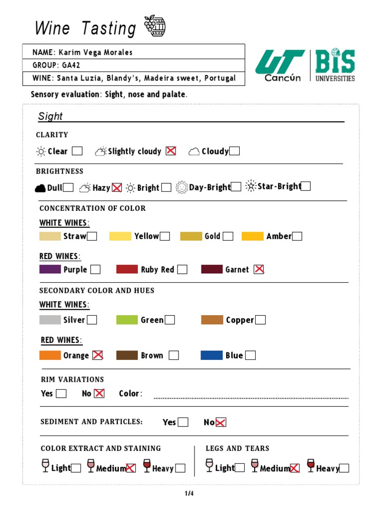Hoja Cata Vino 2 | PDF | Fruit | Wine