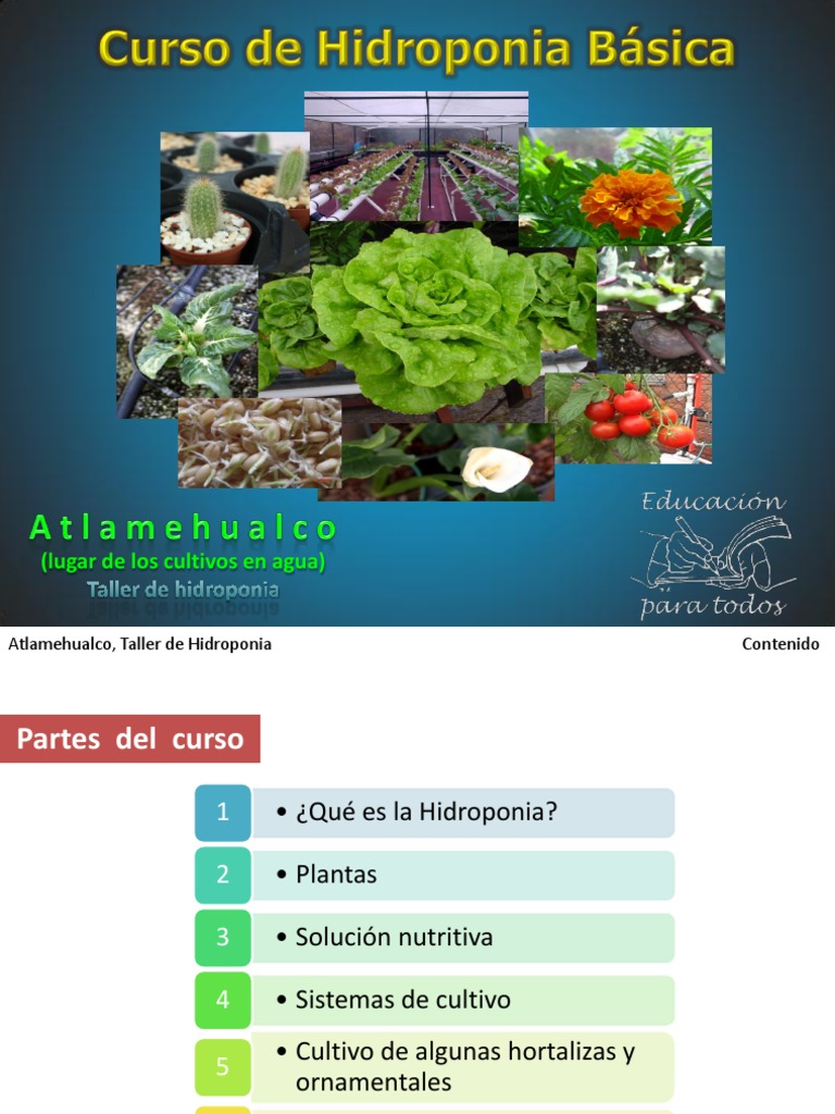 Presentación Hidroponia - Introducción | PDF | Hidroponia | Agricultura