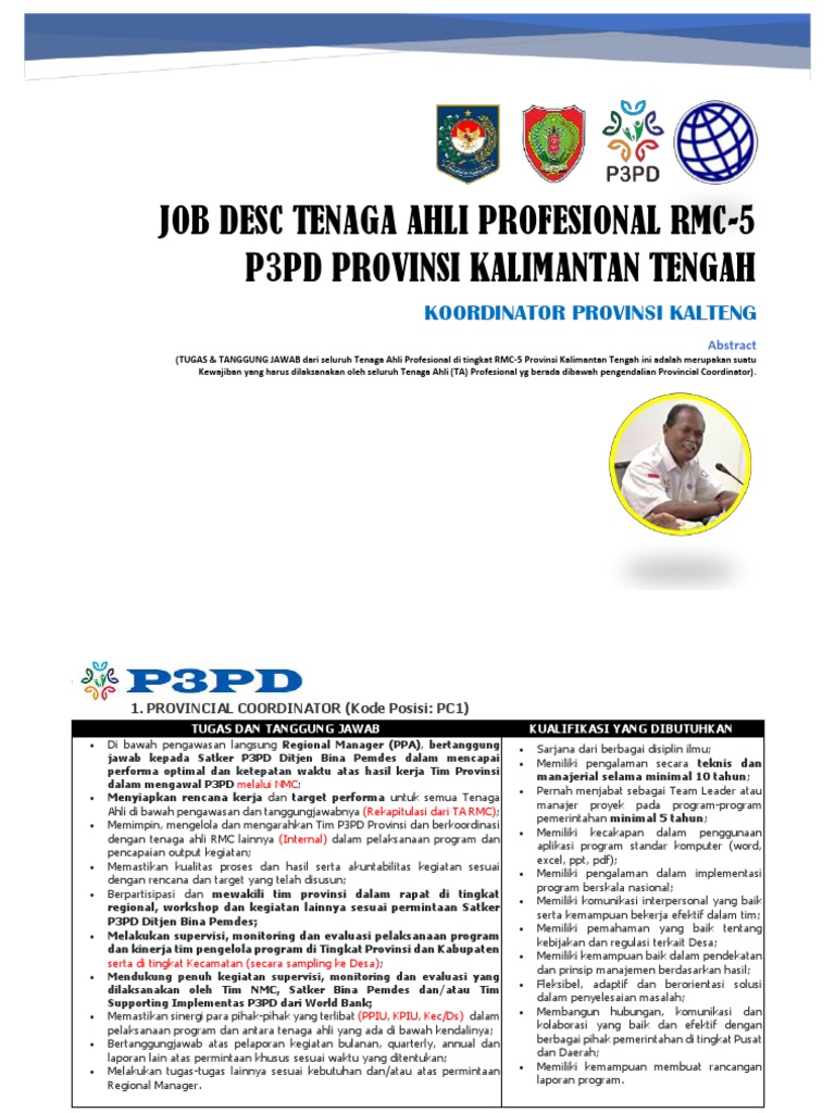 Job Desc TA. PROFESIONAL - RMC-V P3PD Prov. Kalteng 2023-OK PDF | PDF