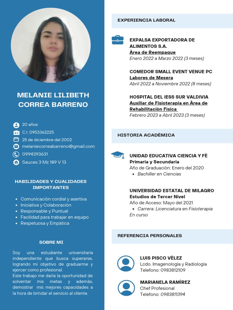 Blue Light Blue Color Blocks Flight Attendant CV PDF | PDF