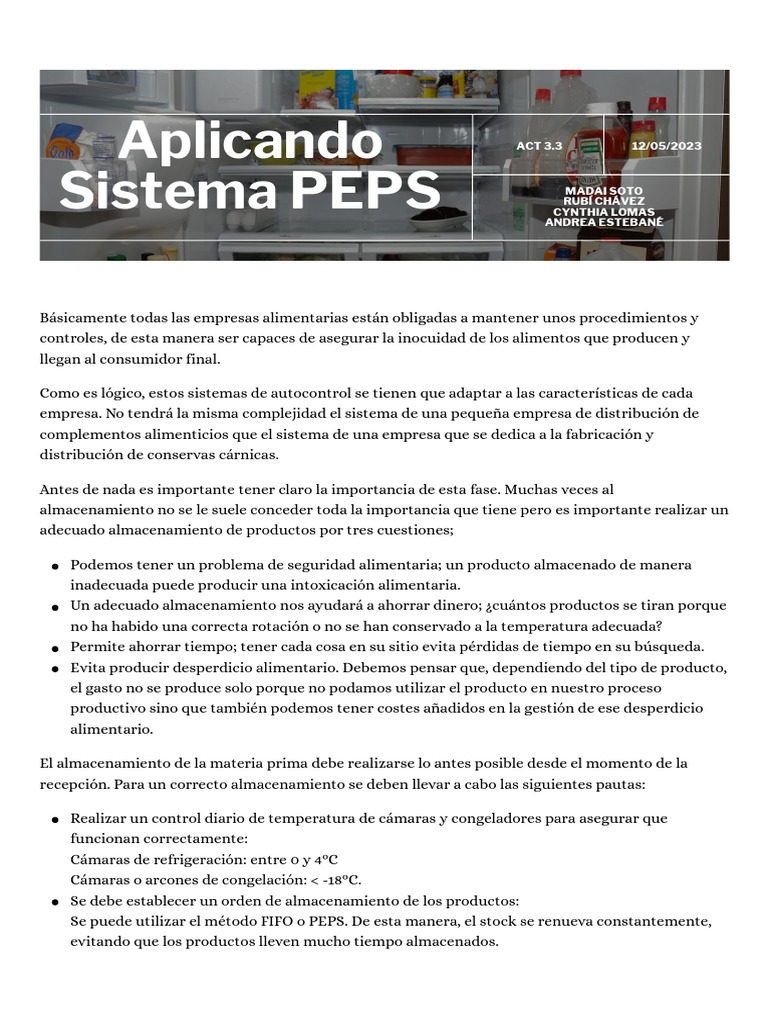 Aplicando Sistema PEPS | PDF