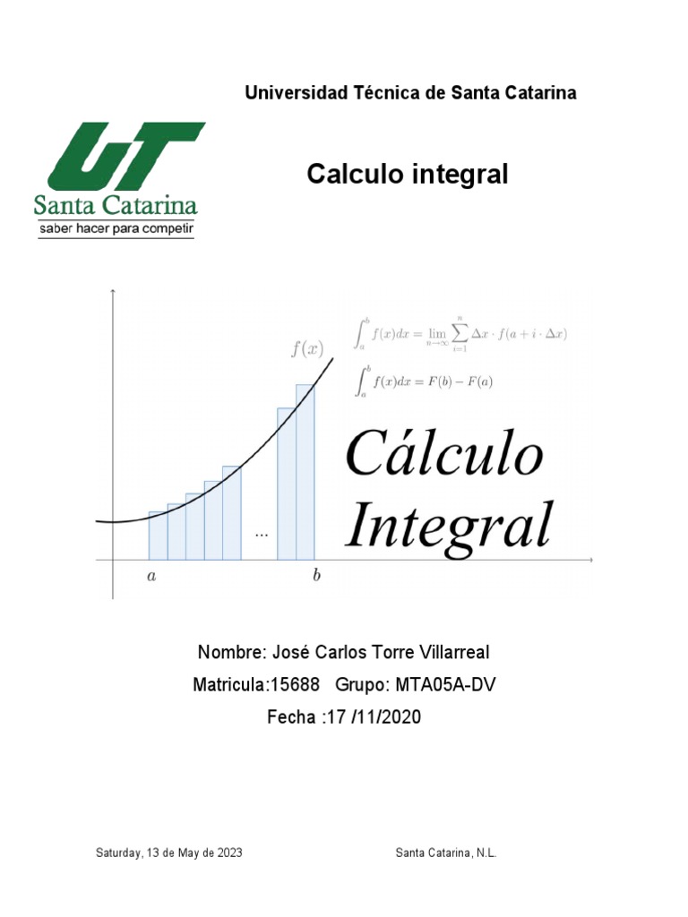 Proyecto Calculo Integral | PDF
