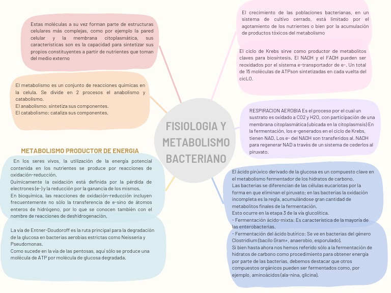 Torres Paredes Lizandro | PDF | Metabolismo | Dieta y nutrición