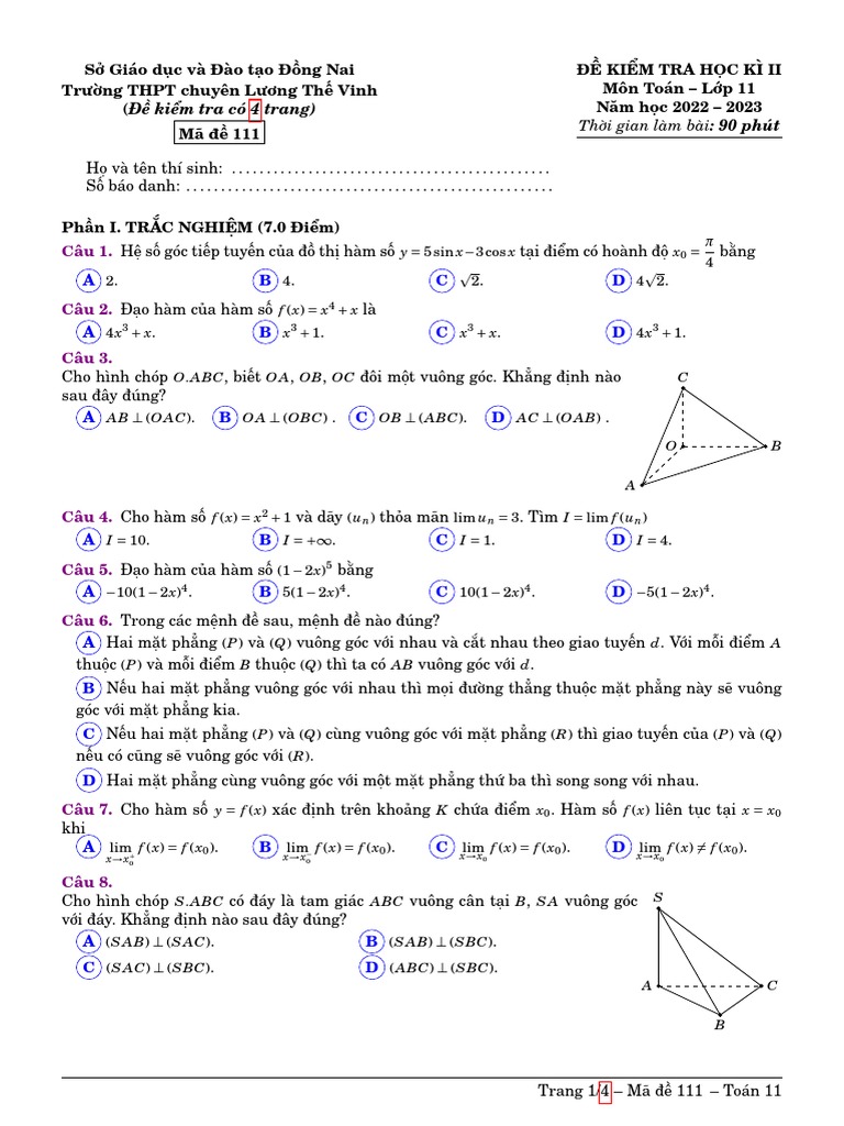 De Hoc Ki 2 Toan 11 Nam 2022 2023 Truong Chuyen Luong The Vinh Dong Nai | PDF