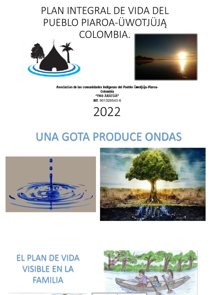 Plan Integral de Vida del Pueblo Piaroa | PDF