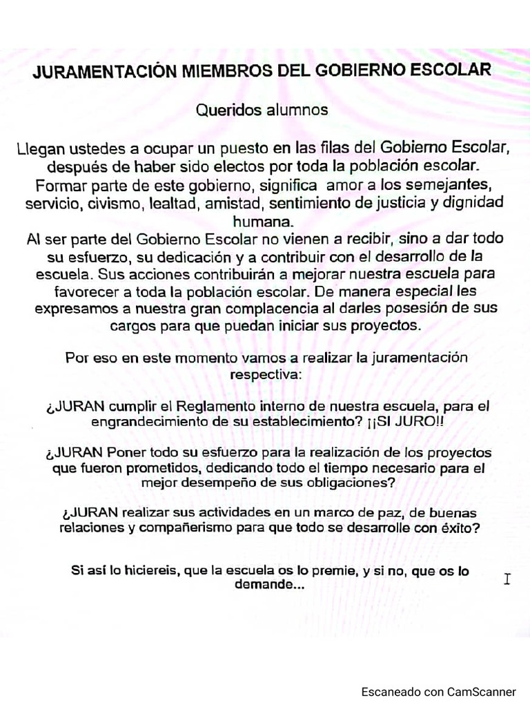 Juramentación Gobierno | PDF