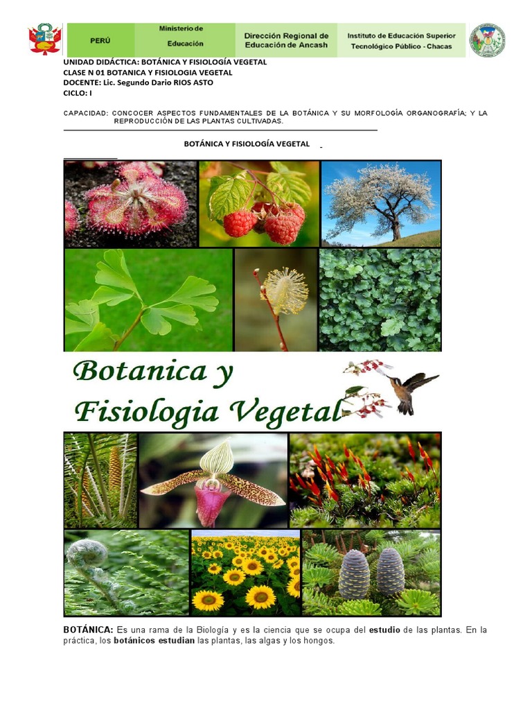 Introducción a Botánica y Células | PDF | Biología Celular) | Botánica
