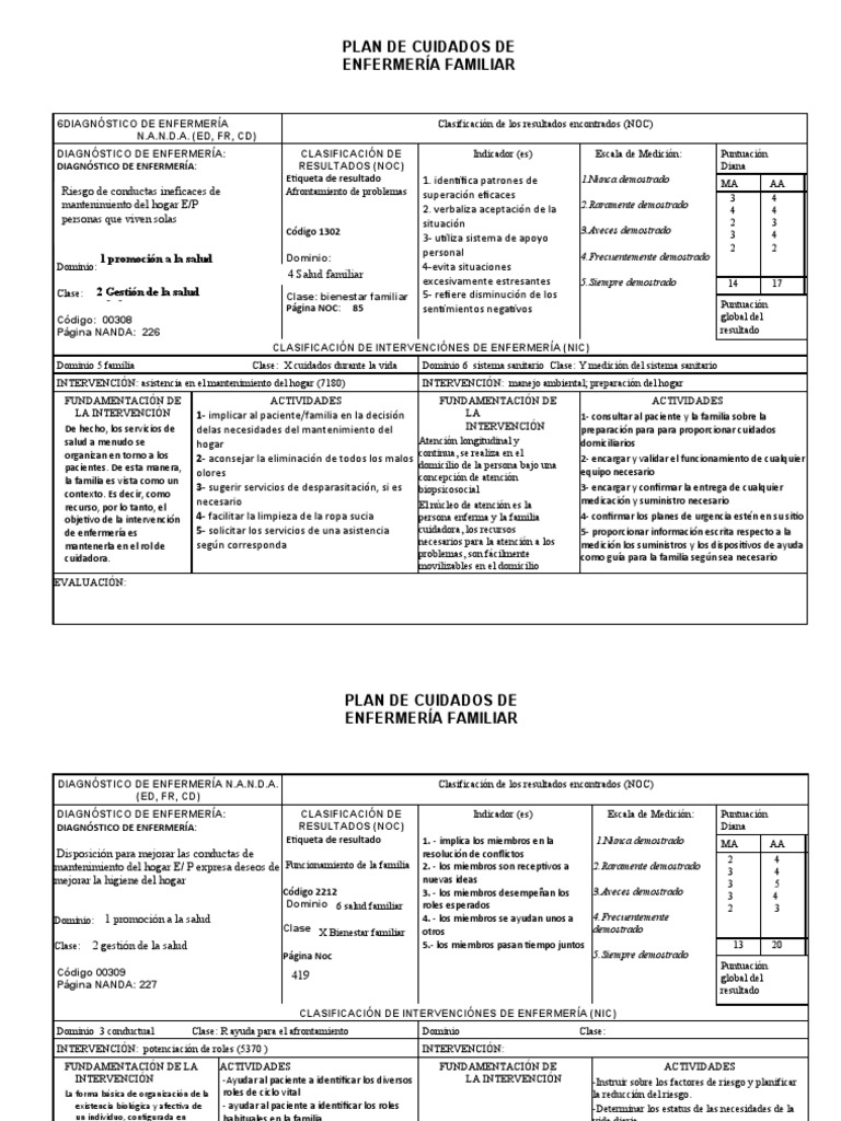 Formato PAE - Docx (2) (2) Ajajajaja | PDF