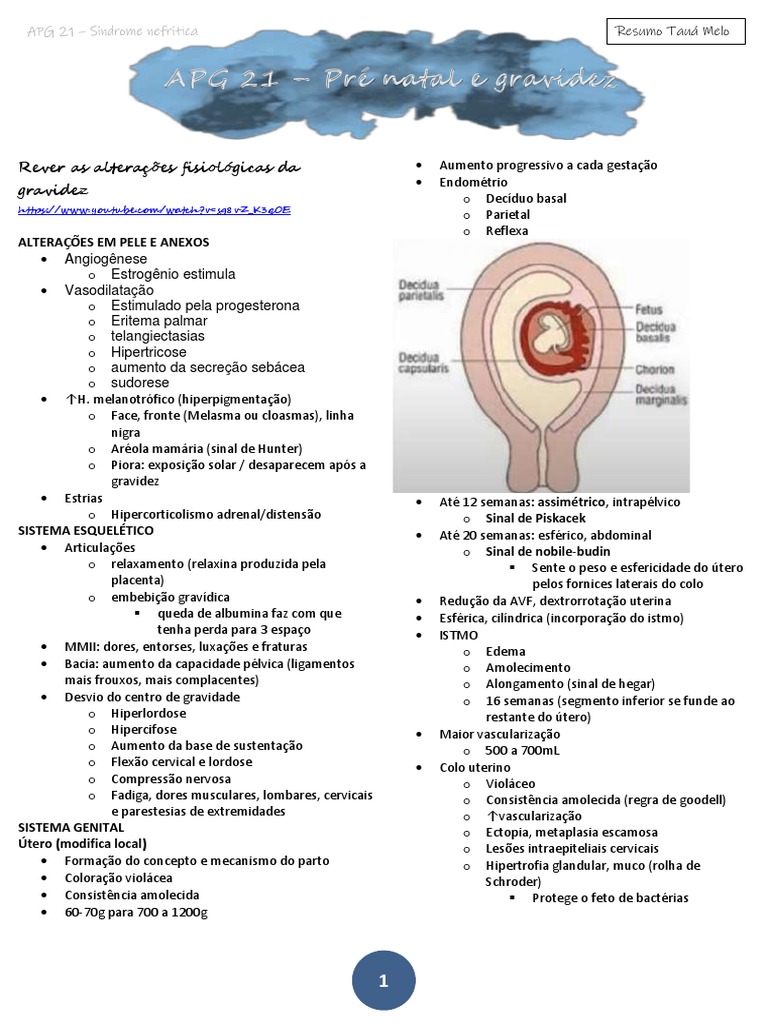 Apg Pre Natal e Gravidez PDF | PDF | Gravidez | Sistema circulatório