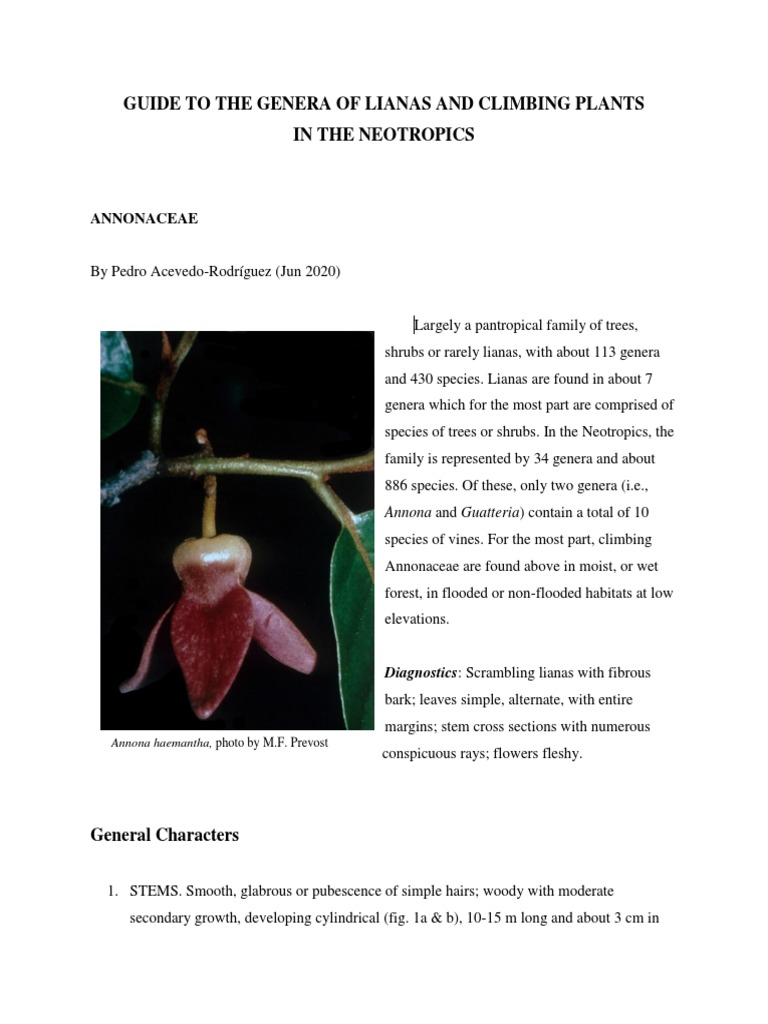 Acevedo-Rodríguez 2020_Guide to the genera of lianas and climbing ...