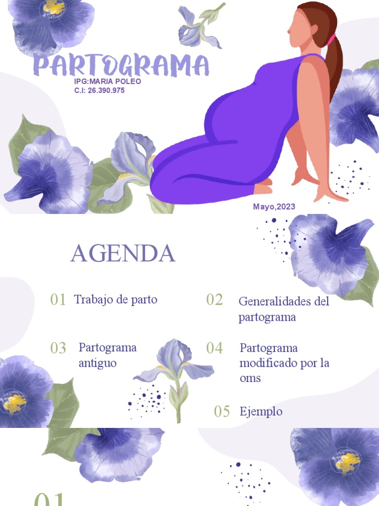 Partograma | PDF | Parto | Salud maternal
