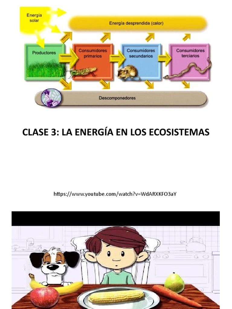 Clase 3 Energía | PDF | Biomasa (Ecología) | Red alimentaria