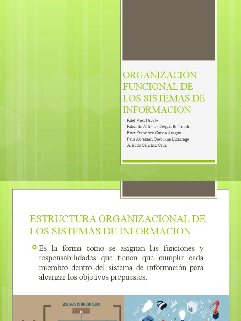 Organización Funcional de Los Sistemas de Informacion | PDF | Informática