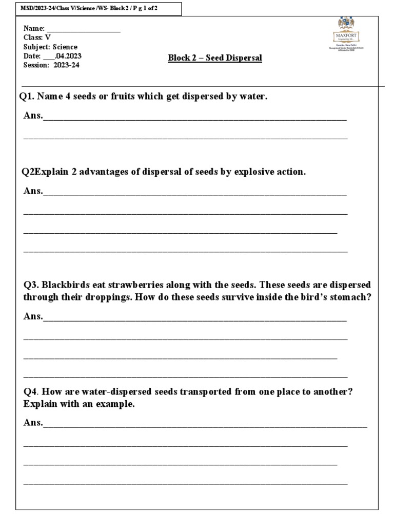 Seed Dispersal Worksheet for Grade 5 | PDF | Seed | Fruit