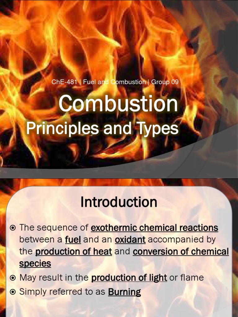 Che-481 - Fuel and Combustion - Group 09 | PDF | Combustion | Fuels