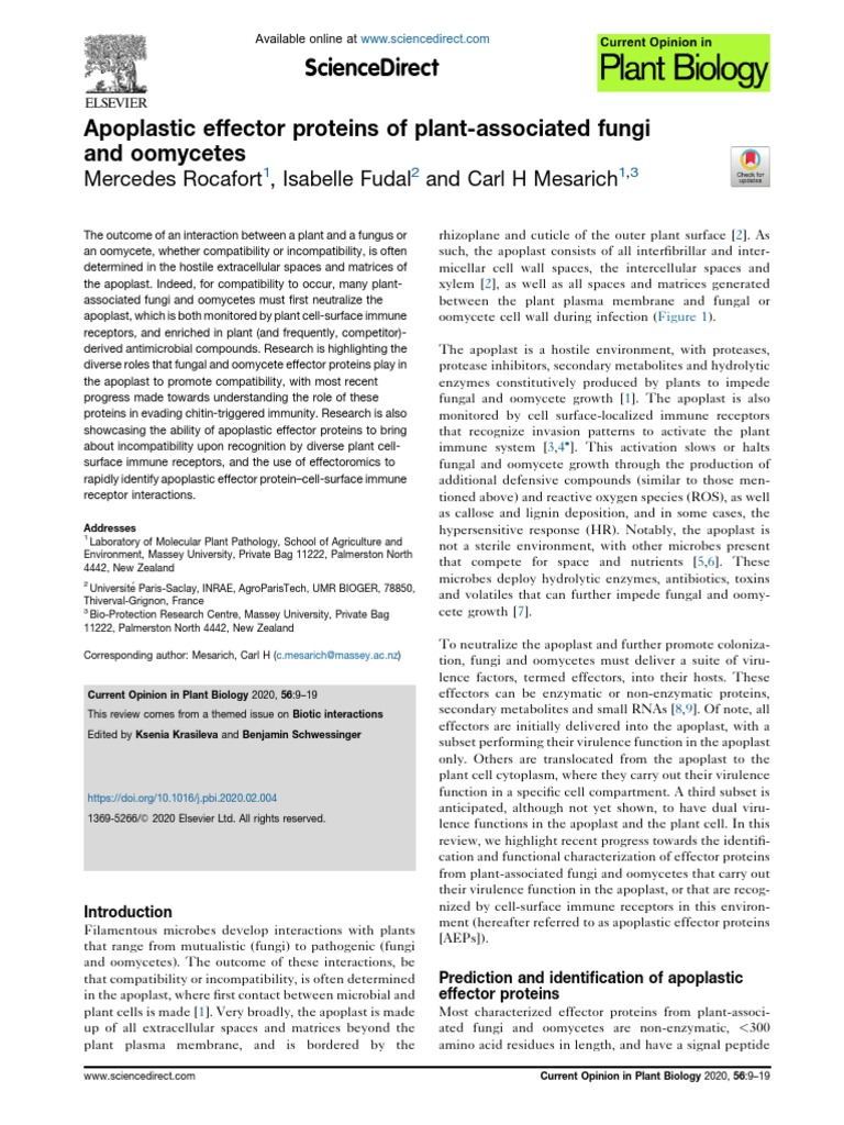 Rocafort Et Al., 2020 Apoplastic Effector Proteins of Plant-Associated ...