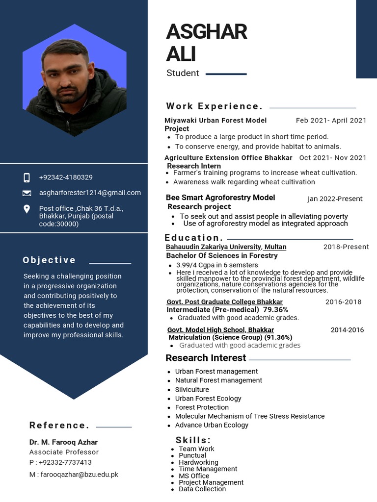 Asghar ALI: Work Experience | PDF